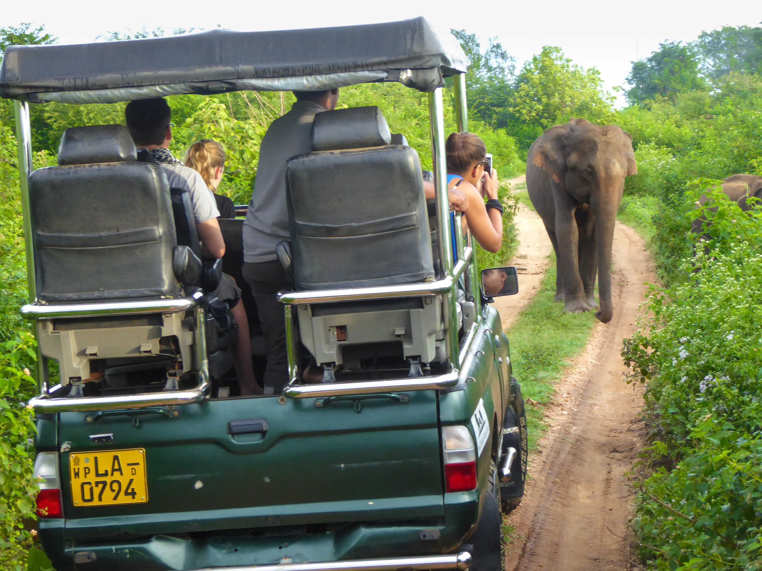 Travel Gallery | Danu Travels & Tours